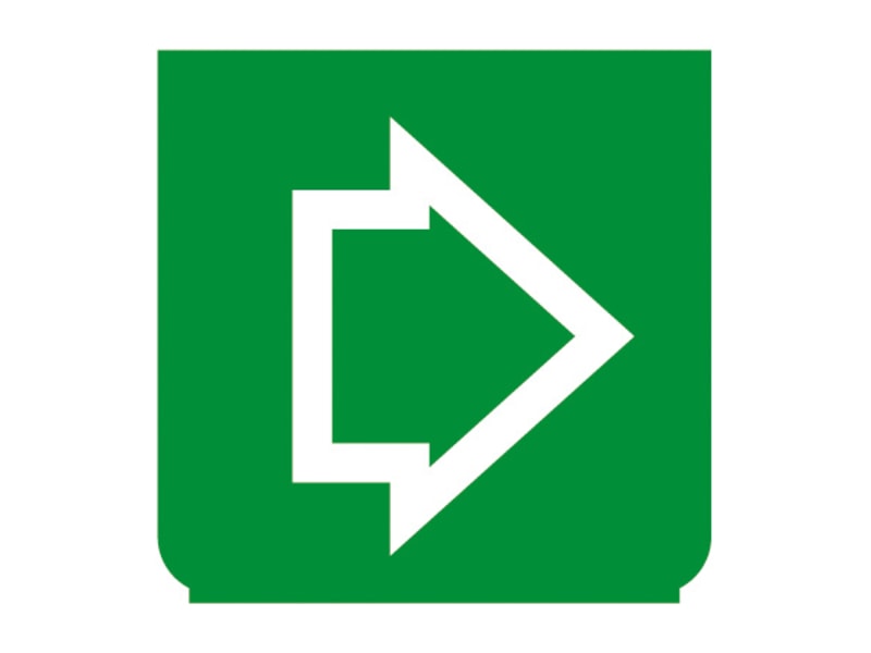 Emblem - Blinker rechts grün – Hoelzle