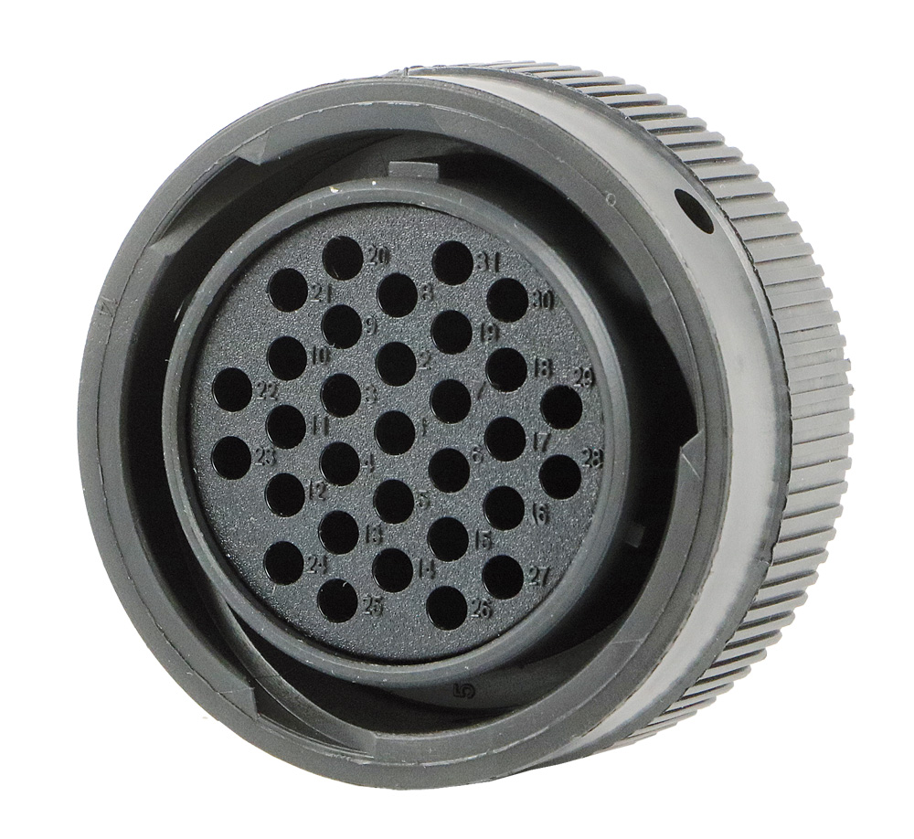 "Deutsch" - Stecker 31-pol – Hoelzle